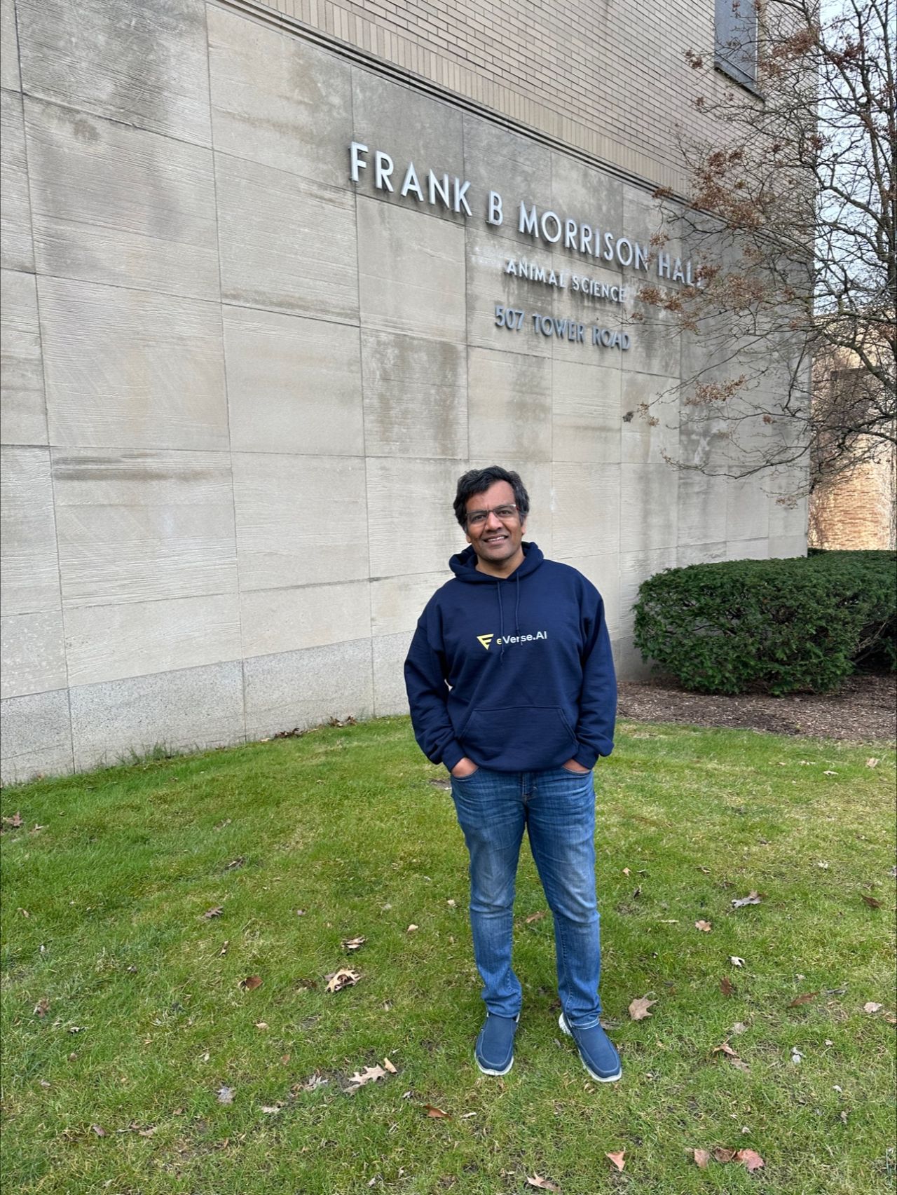 Holstein dairy cows in field